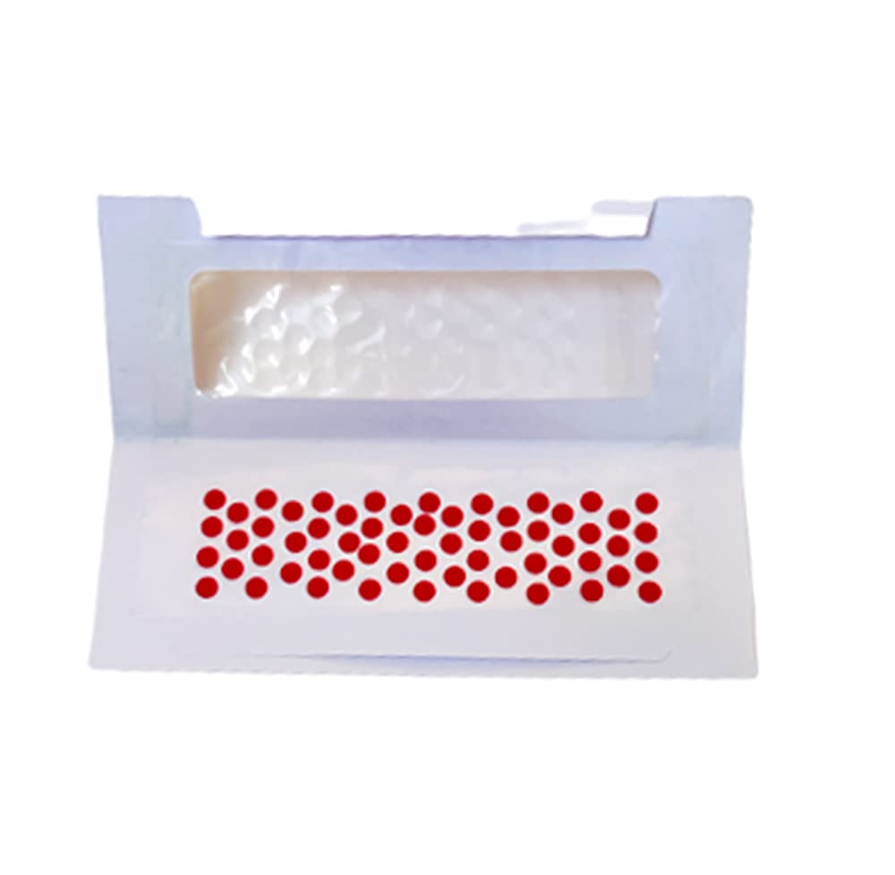 DMS RETAIL Forehead Red Round Bindi For Women Kumkum Bindi for Ladies ...